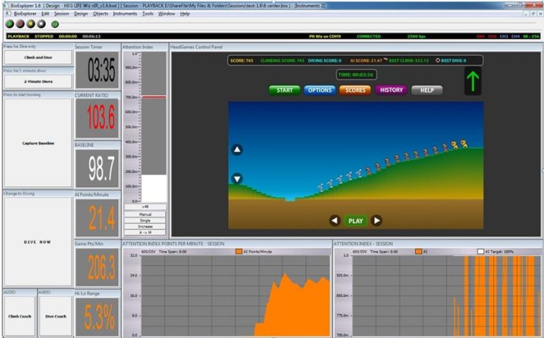 LIFE Game Updates | BioExplorer - brain-trainer.com